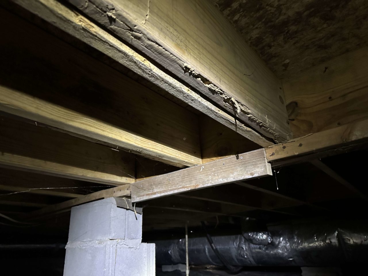 Crawl Space Repair in Birmingham: Common Problems & Proven Solutions